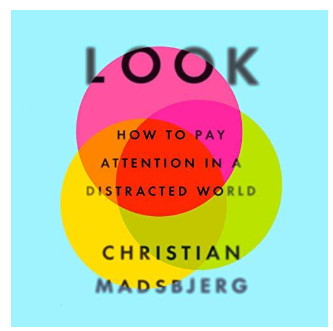 How to Listen: Paying Attention to Social Silence